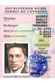Ukrainian/Russian Driver License translation services (certified)